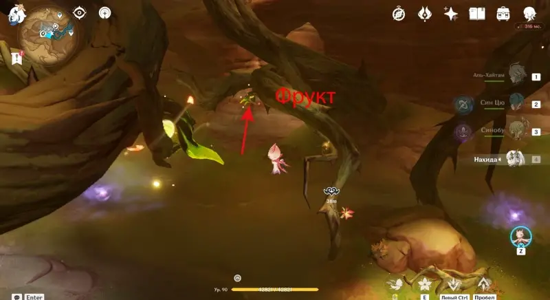 Fairy and Luxury Chest Puzzle in Asipattravana Swamp in Genshin Impact ...